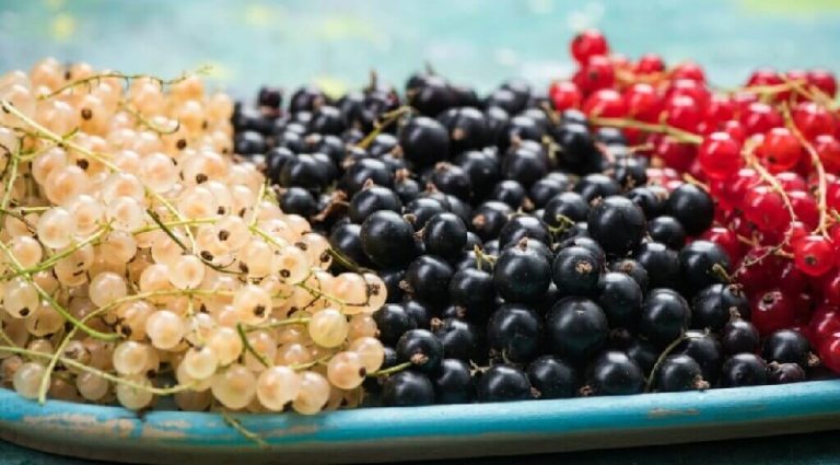 Currants Skin and Health benefits